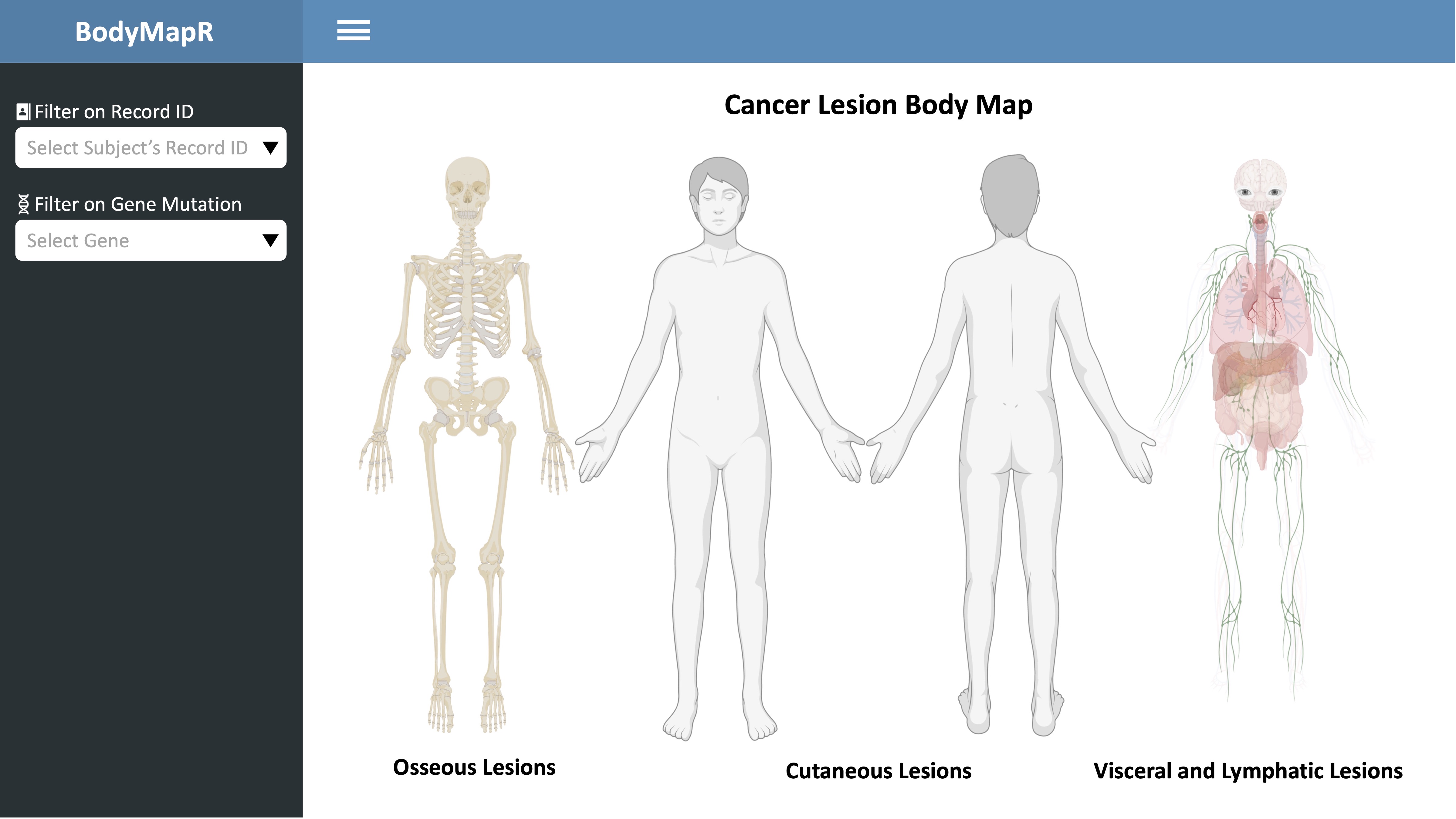 The Miller Lab - BodyMapR - An R Package and Shiny Application Designed ...